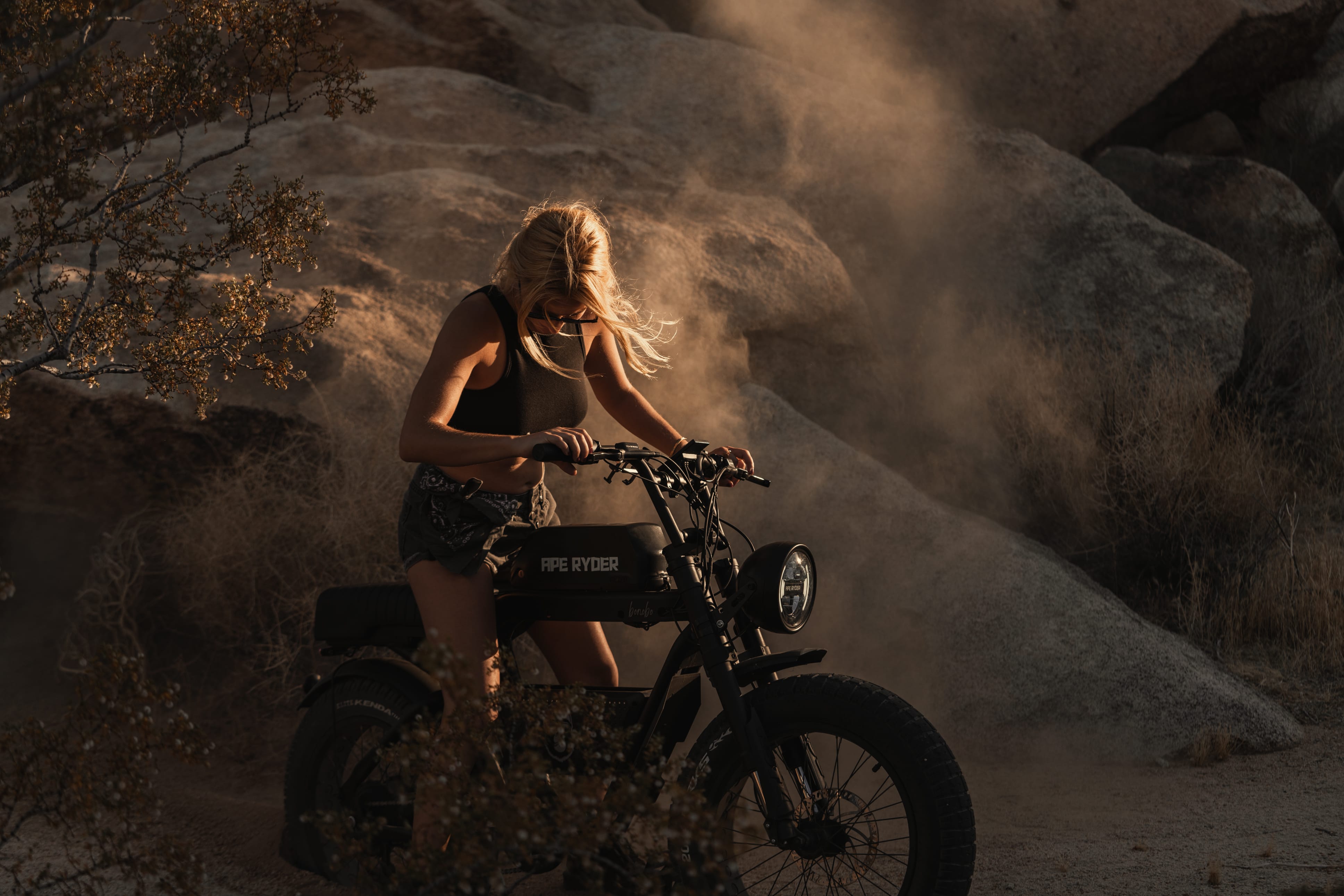Ape Ryder | e-bikes, accessories & apparel